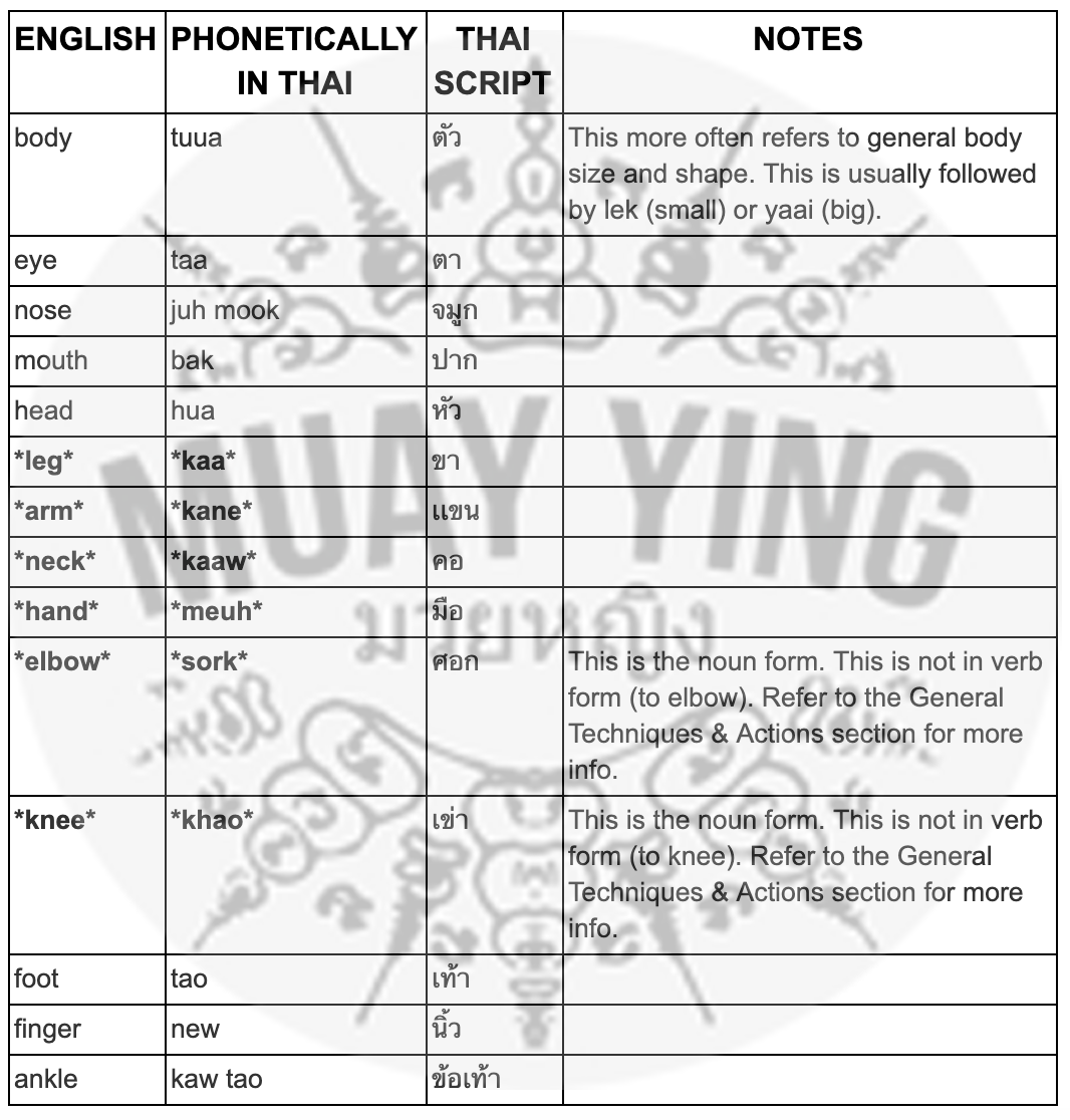 Thai Language - Part 2: Muay Thai Terminology - Muay Ying มวยหญิง