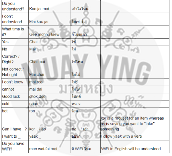 Thai Language – Part 3: General Phrases and Vocabulary - Muay Ying มวยหญิง